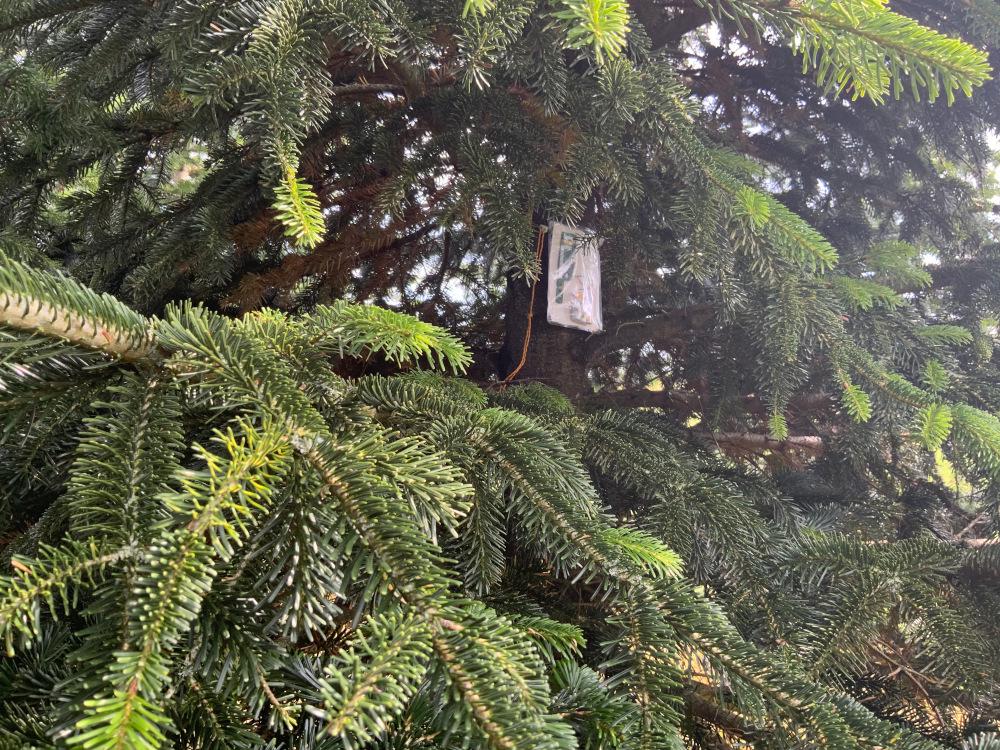 Wolf detection - Encore Eleveurs Demain